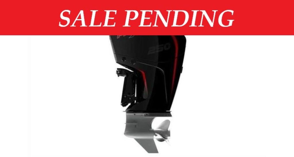 Used Mercury Marine 225 Pro XS 4 Stroke Torque Master 2024 for sale in ...