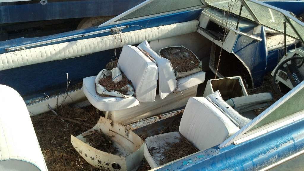 Used VIP V8 Challenger Mercruiser 888 1978 for sale in Dawsonville ...