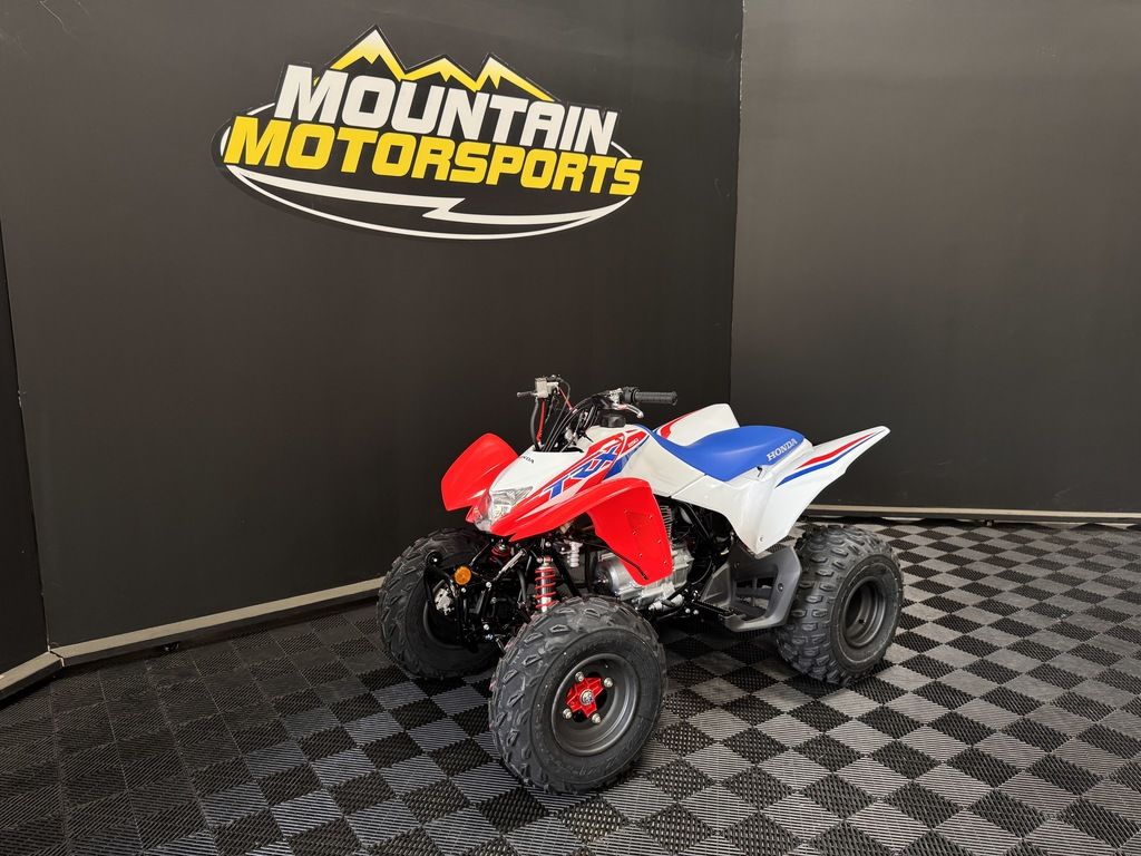 New Honda® TRX250X 2026 for sale in Gadsden, Alabama - Boatzon.com