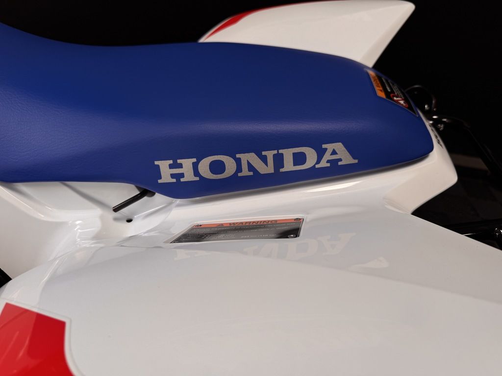 New Honda® TRX250X 2026 for sale in Gadsden, Alabama - Boatzon.com